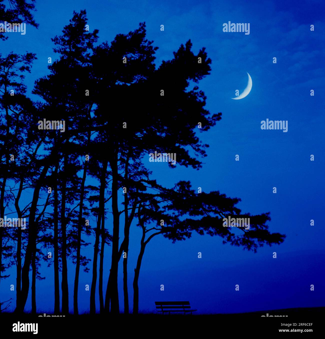 Arbre et faucille lune Banque de photographies et d’images à haute ...
