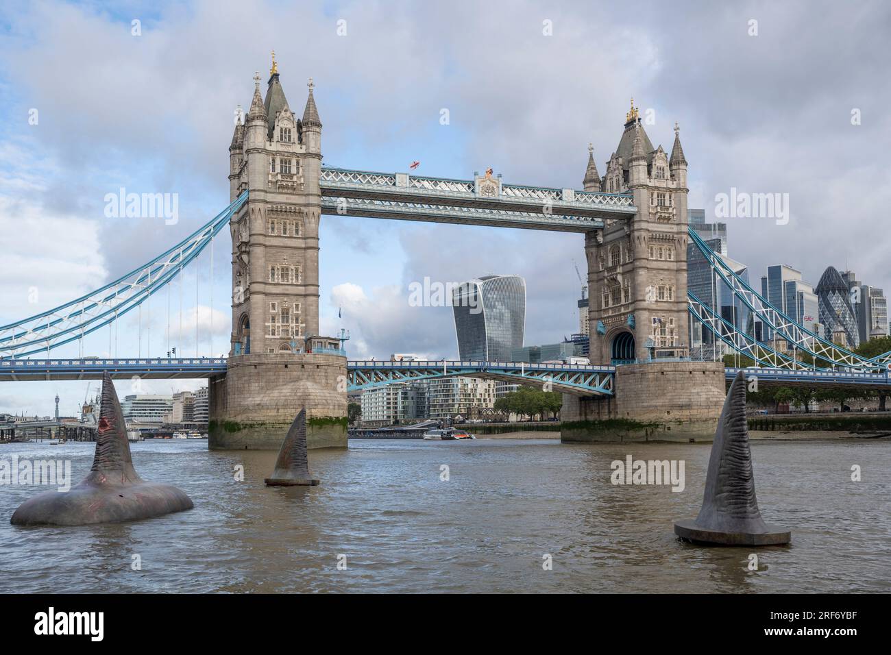 Londres, Royaume-Uni. 1 août 2023. Trois ailerons géants de requin ...