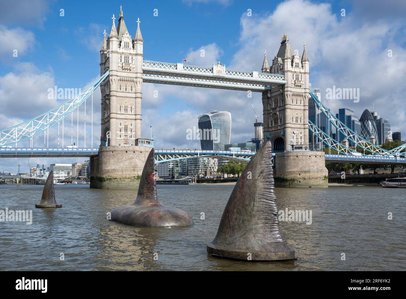 Londres, Royaume-Uni. 1 août 2023. Trois ailerons géants de requin ...