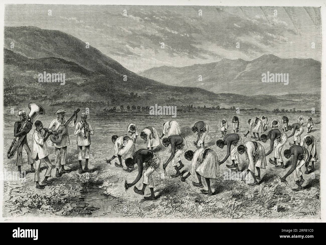 La plantation du riz en cadence, par les Tagalocs ( ou Tagalog ou Tagal ...