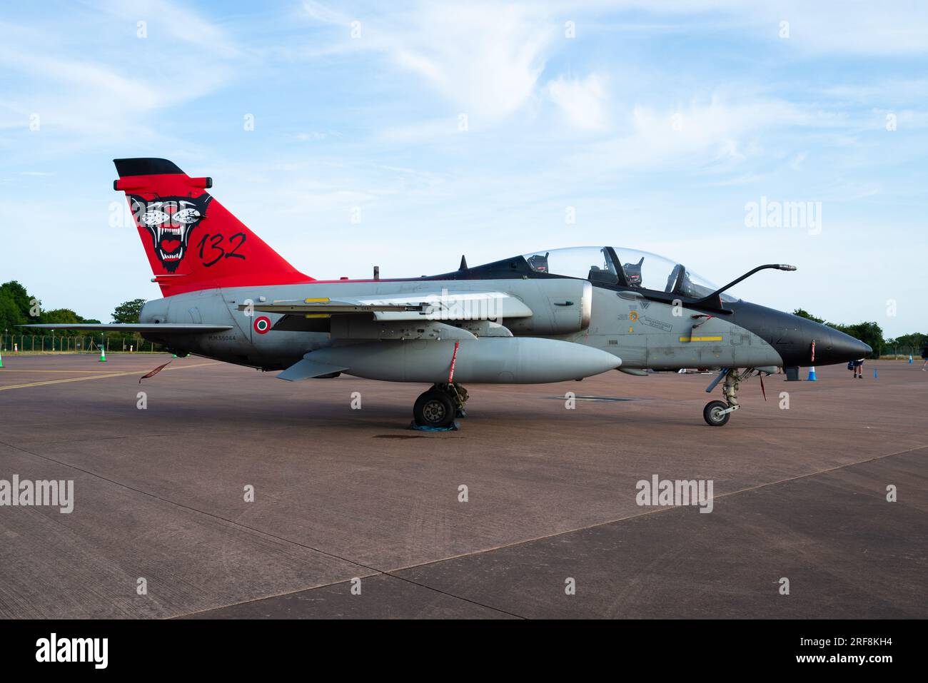 Italian Air Force AMX International AMX-T avion d'entraînement ...