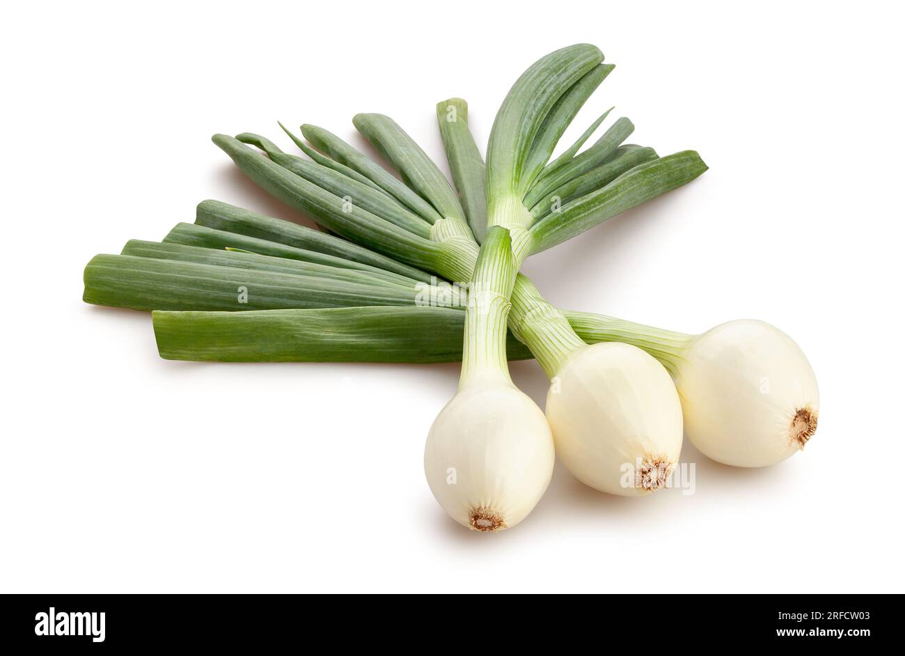 Jeune oignon Banque de photographies et d’images à haute résolution - Alamy