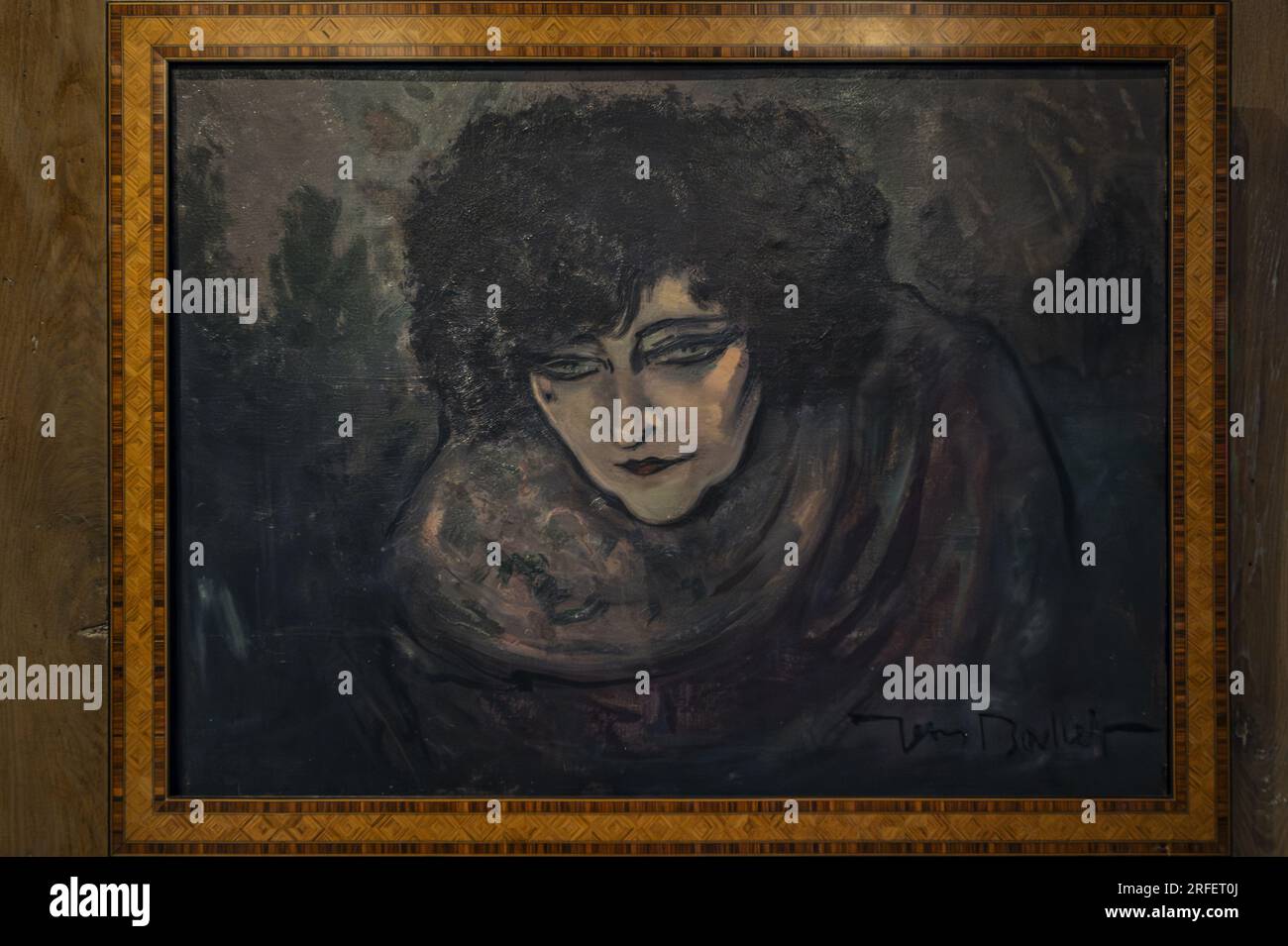 France, Yonne, Saint-Sauveur-en-Puisaye, Musée Collette créé à l ...