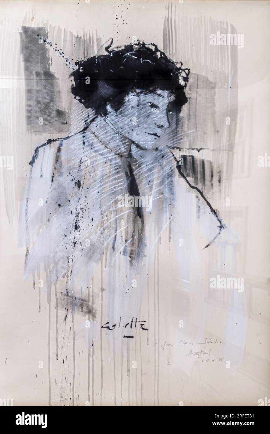 France, Yonne, Saint-Sauveur-en-Puisaye, Musée Collette créé à l ...