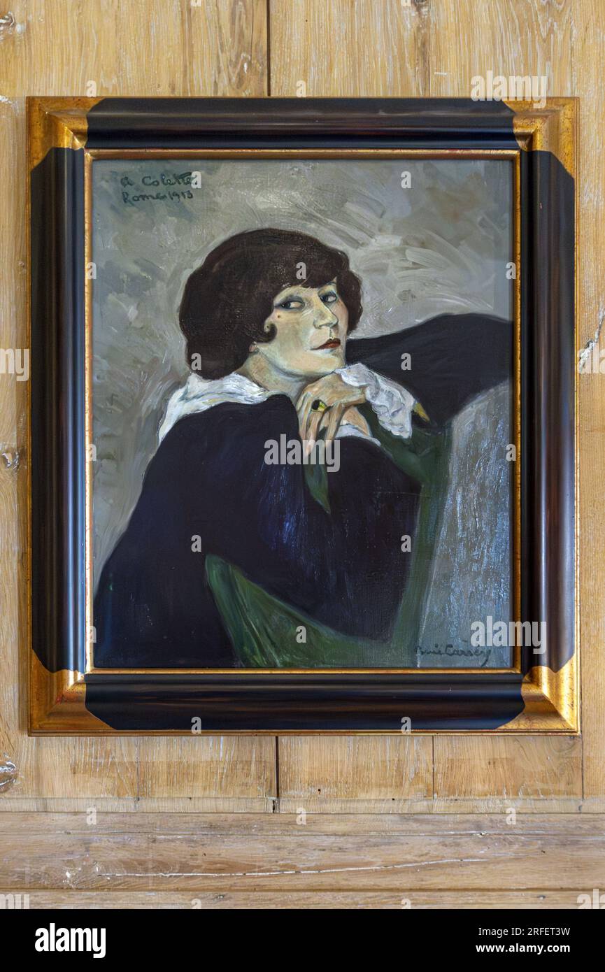 France, Yonne, Saint-Sauveur-en-Puisaye, Musée Collette créé à l ...