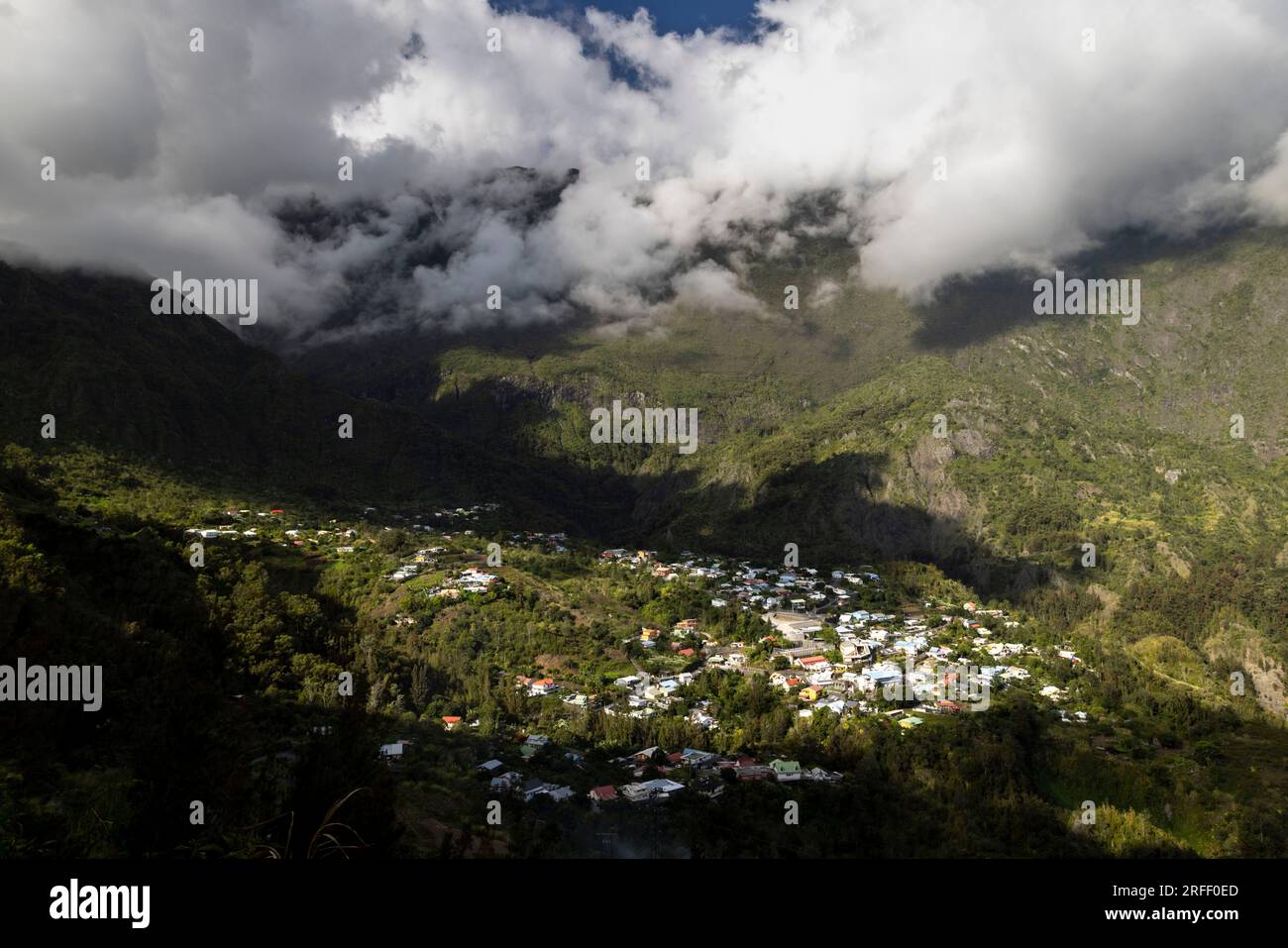 Palmiste rouge Banque de photographies et d’images à haute résolution ...