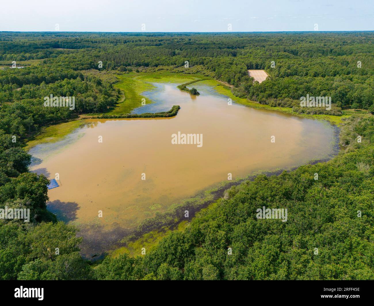 France, Loir et cher, la Sologne, région de Chaon, forêt (vue aérienne ...