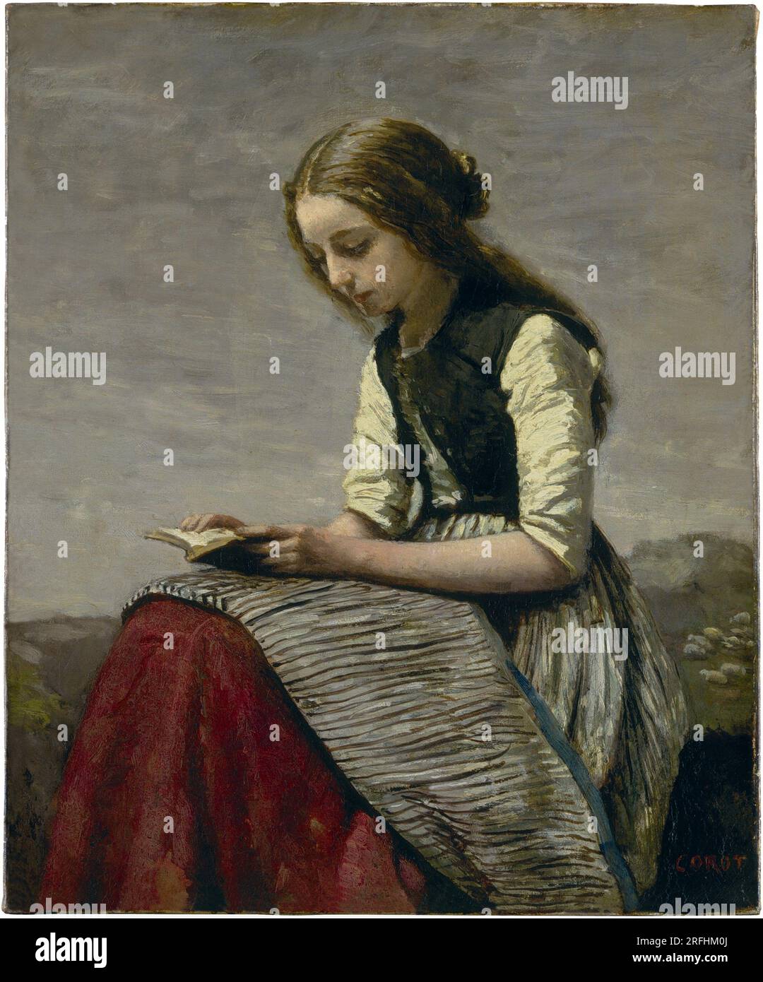 Petite liseuse Banque de photographies et d’images à haute résolution ...