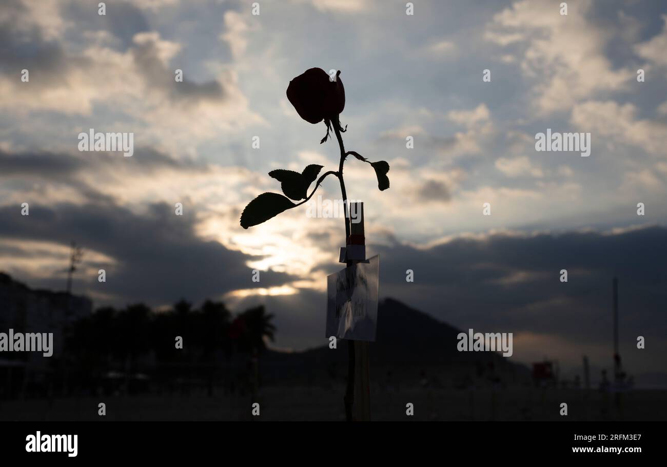 One of many roses stands on Copacabana beach in honor of those who died ...