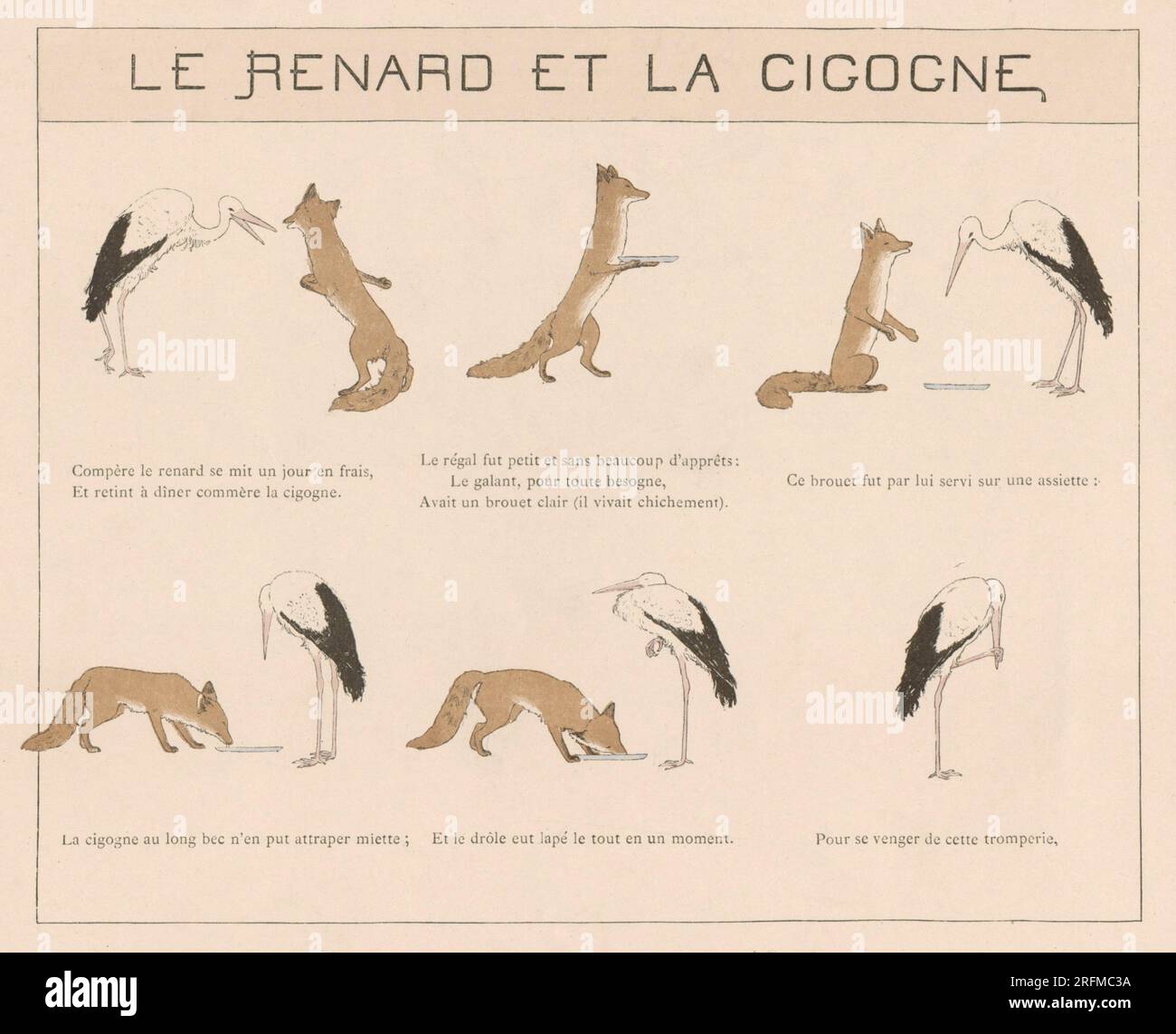Le renard et la cigogne Banque de photographies et d’images à haute ...