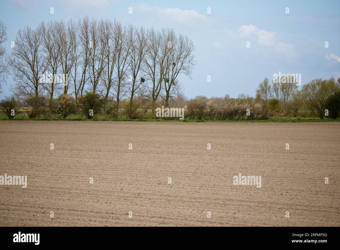 France, région hauts de France, somme, Baie de somme, entre le Crotoy ...