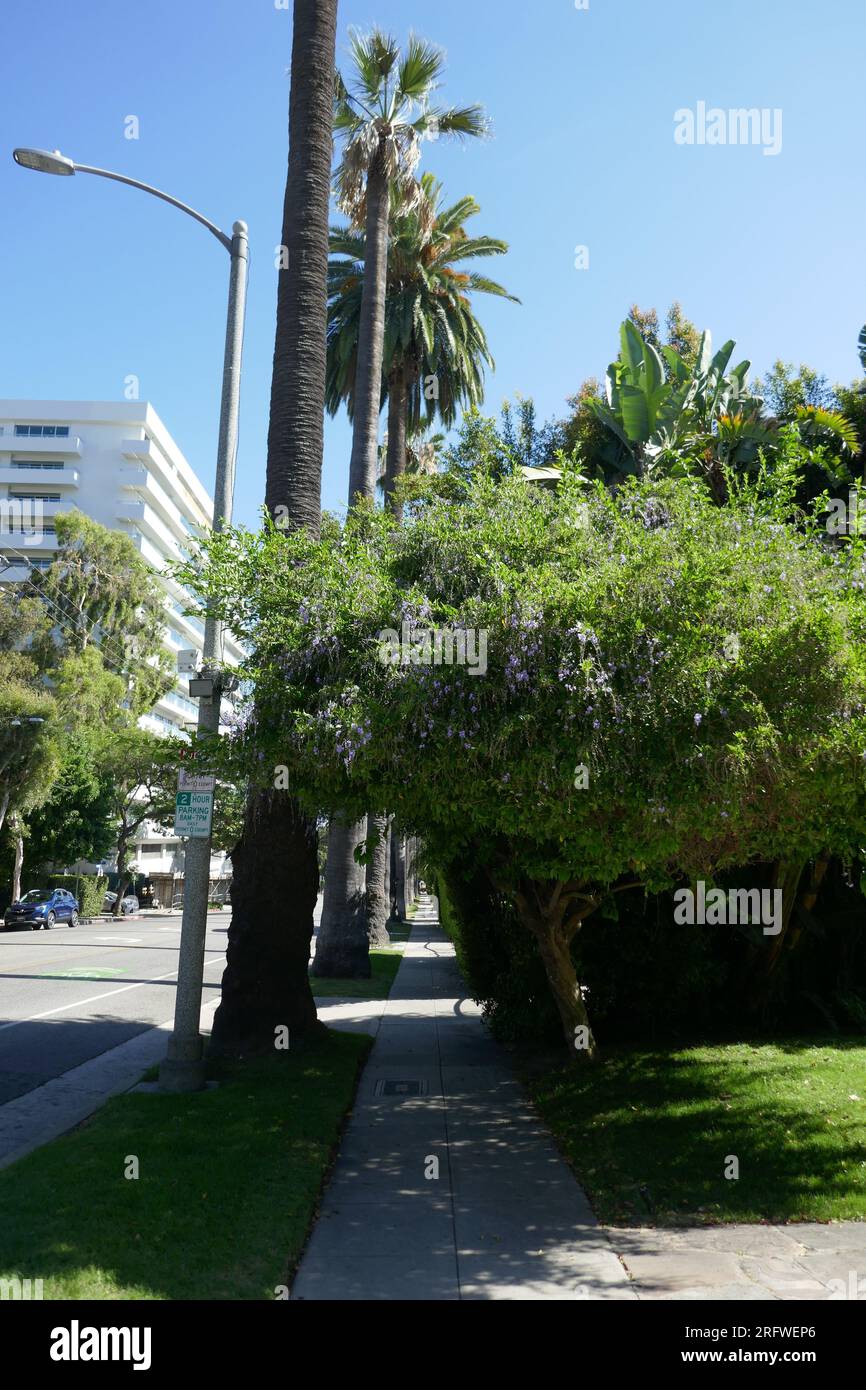 Doheny drive Banque de photographies et d’images à haute résolution - Alamy