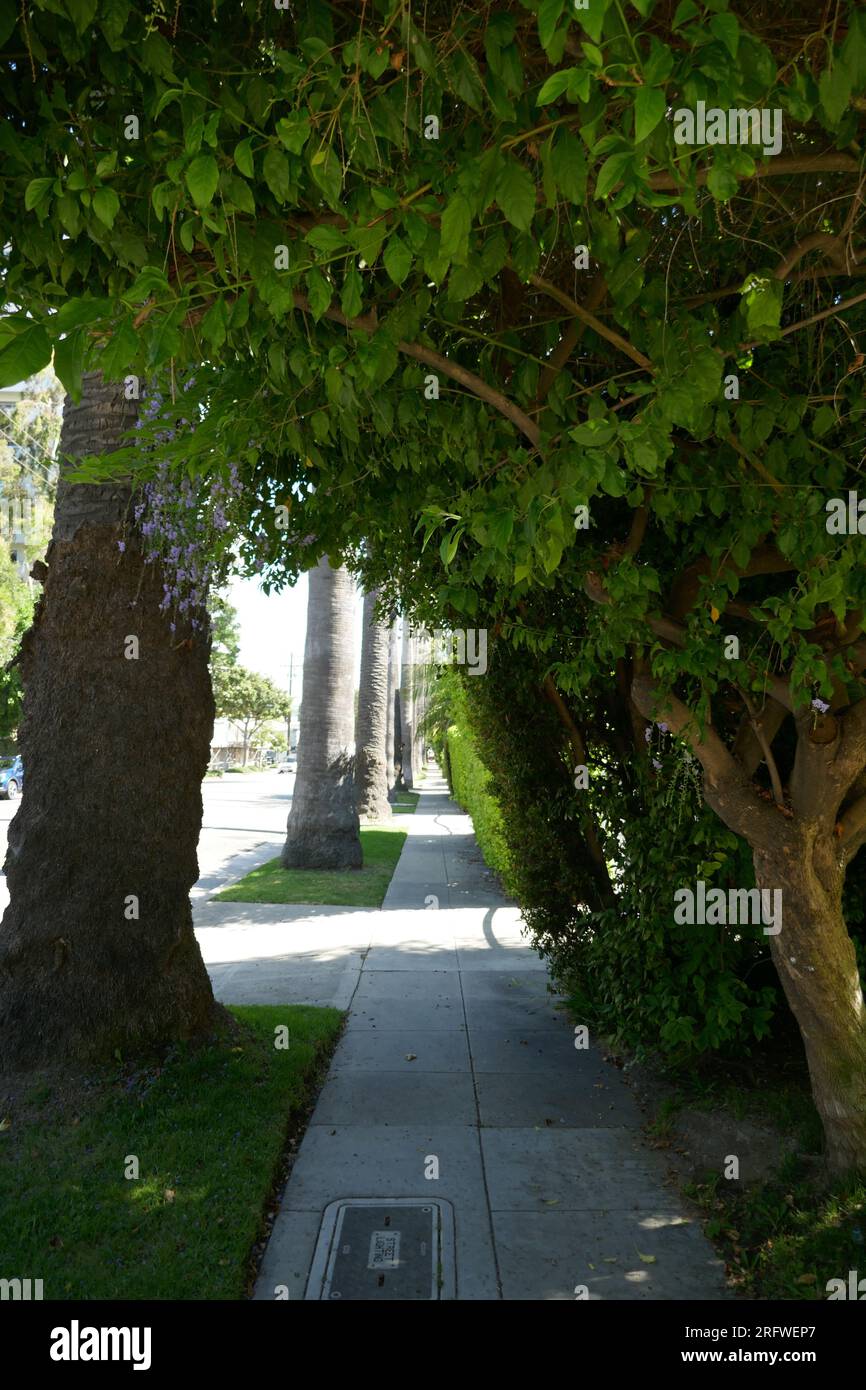 Doheny drive Banque de photographies et d’images à haute résolution - Alamy