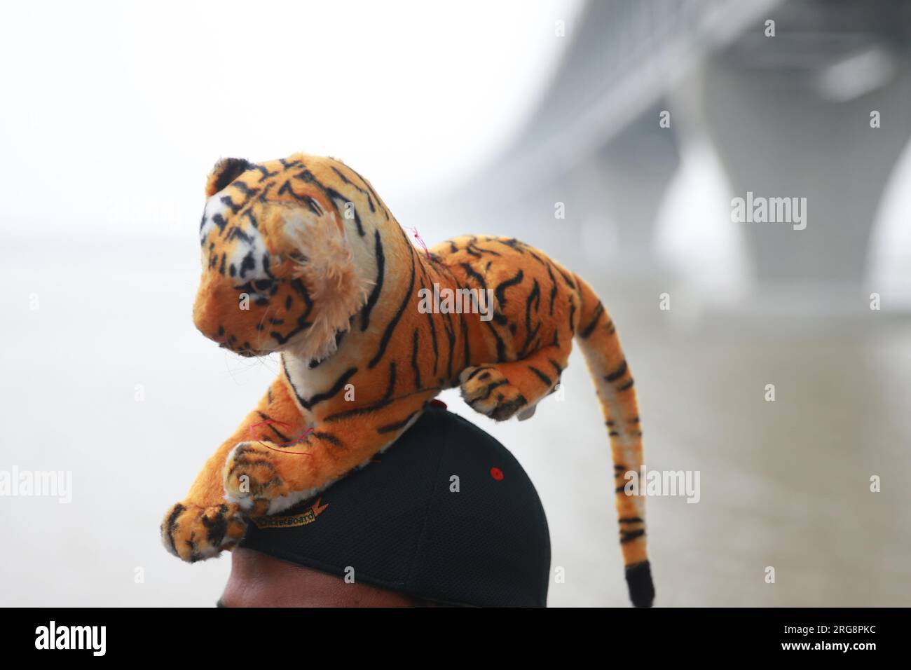 Shoaib Ali Bukhari, un fan acharné du cricket du Bangladesh qui se ...