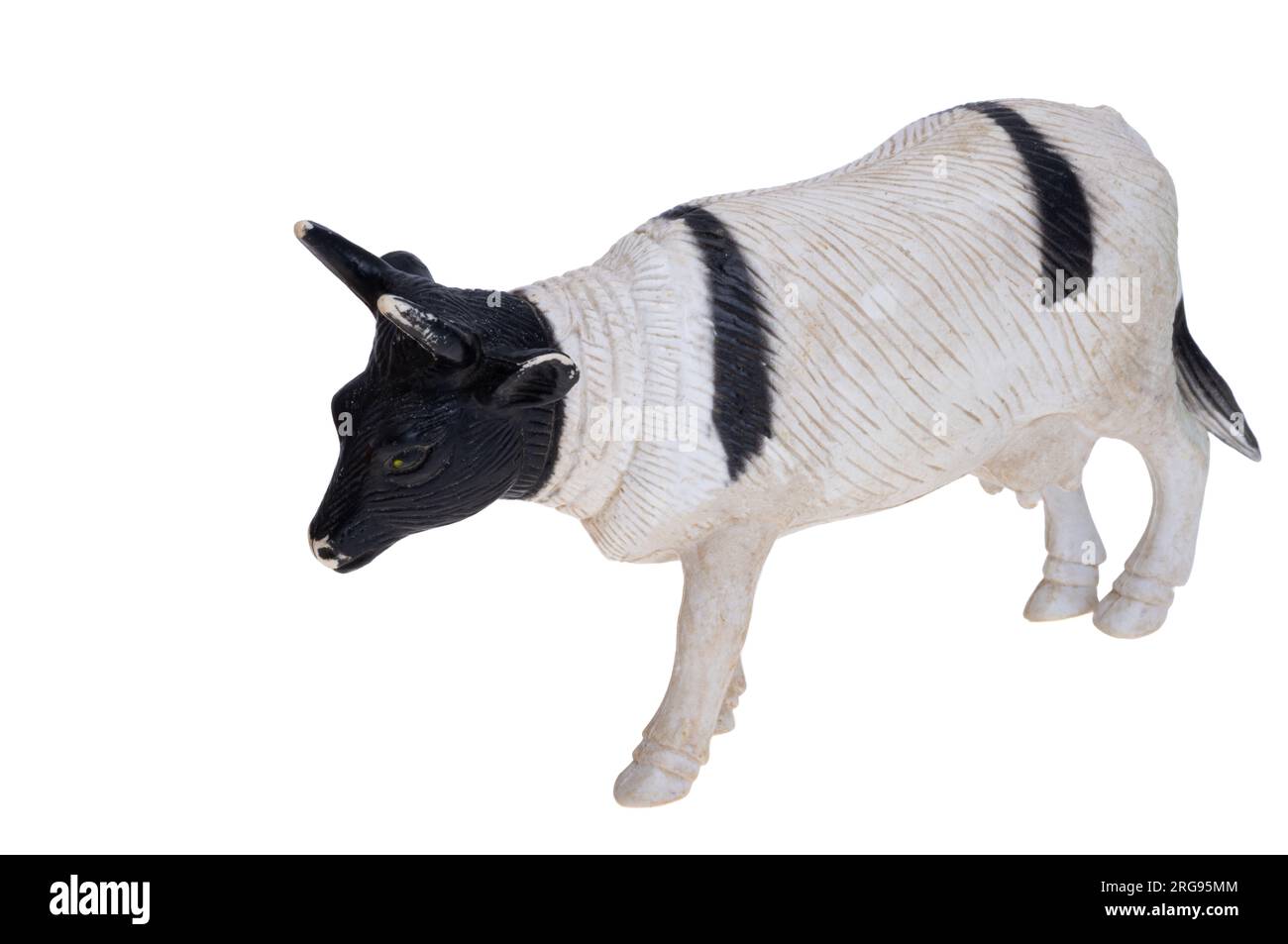 Race de vache laitière Banque d'images détourées - Alamy