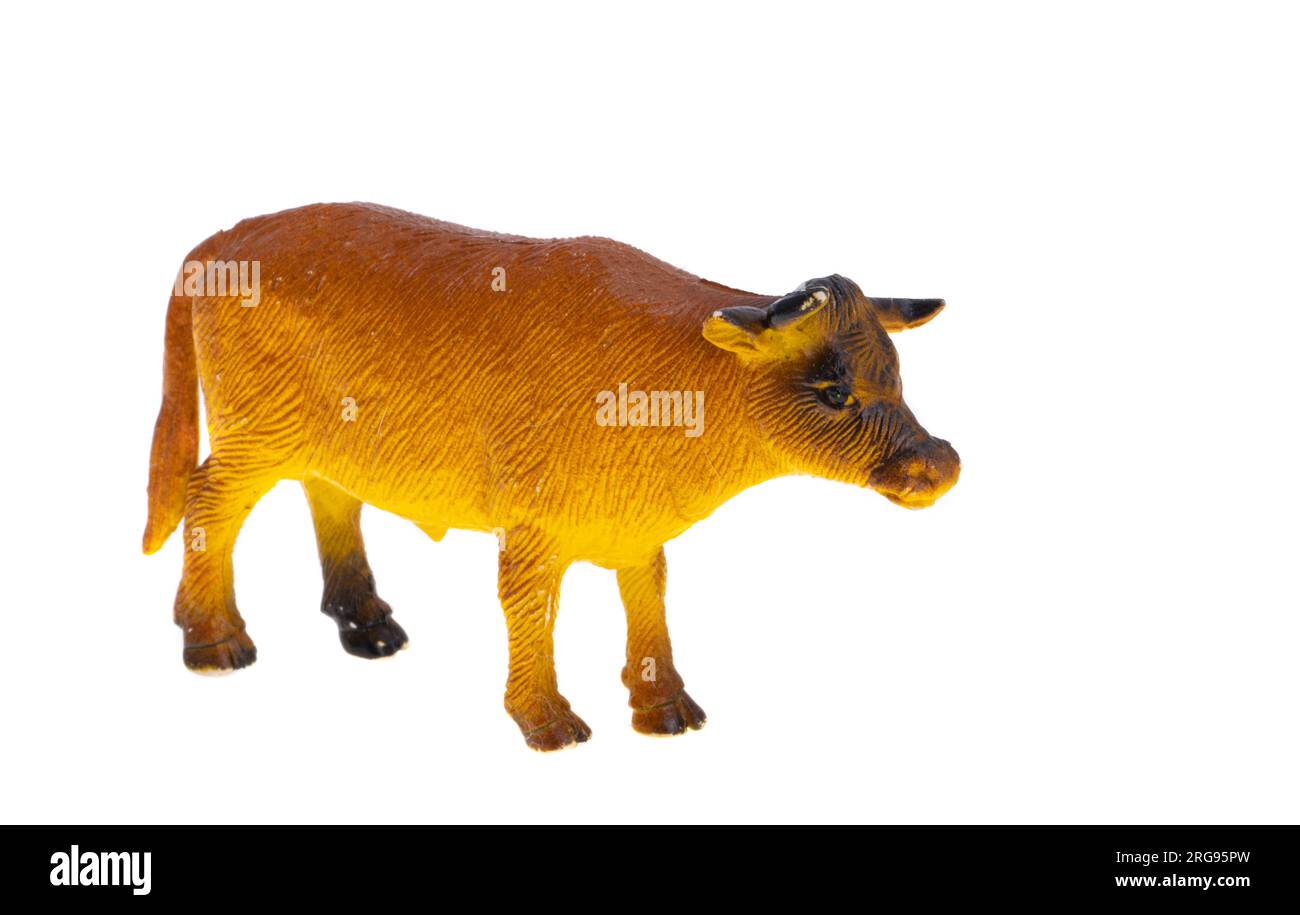 Race de vache laitière Banque d'images détourées - Alamy