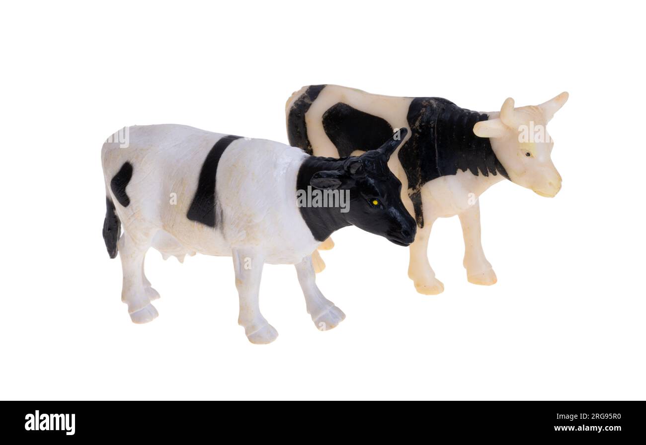 Race de vache laitière Banque d'images détourées - Alamy