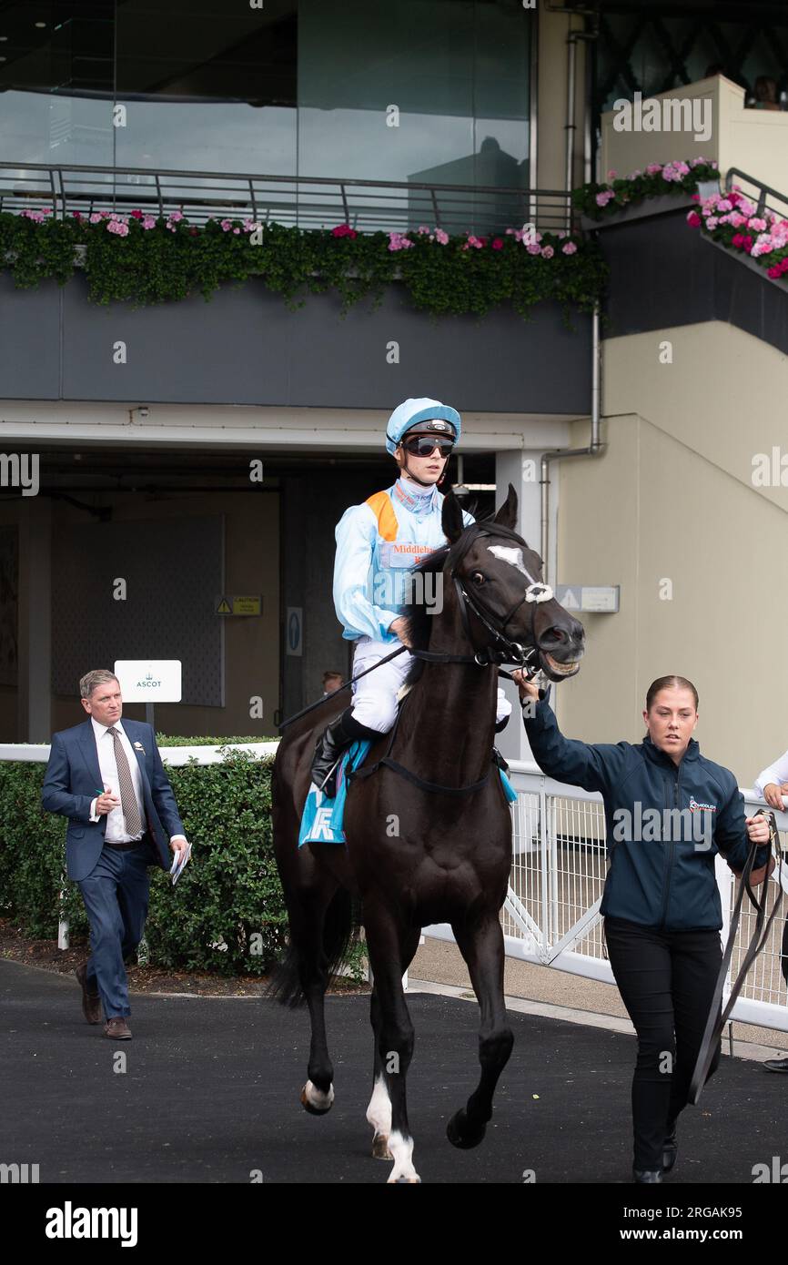 Ascot, Berkshire, Royaume-Uni. 28 juillet 2023. Horse Nolton Cross ...