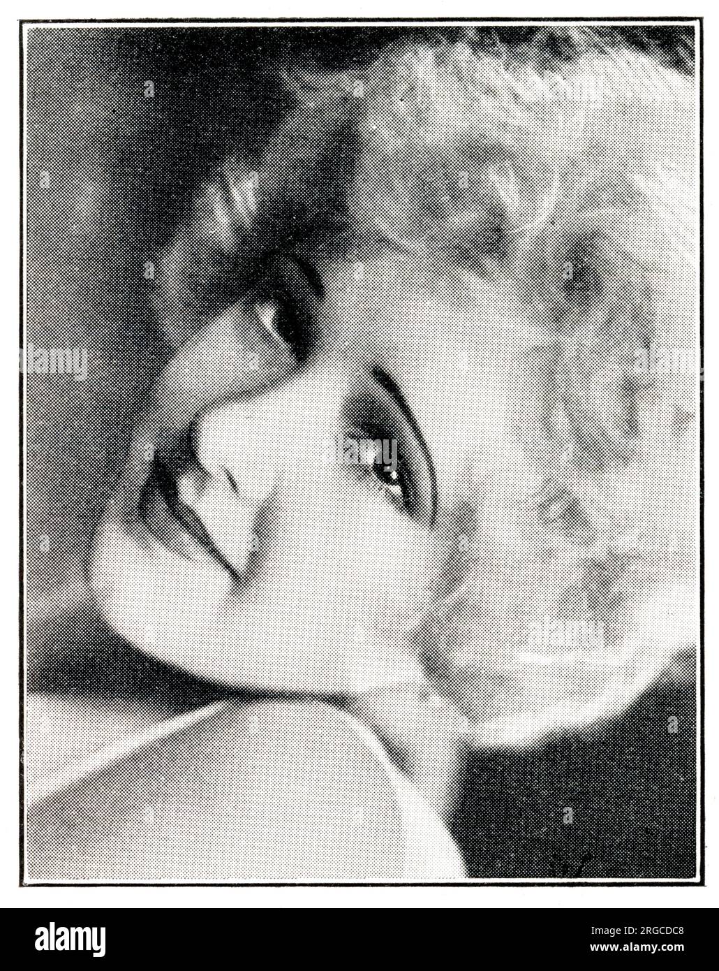 Dixie lee Banque de photographies et d’images à haute résolution - Alamy