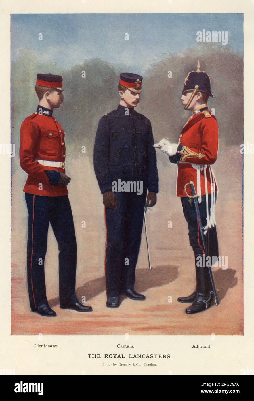 Lieutenant co Banque de photographies et d’images à haute résolution ...