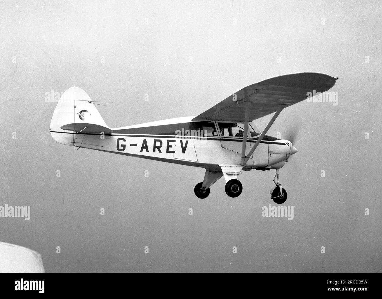 Piper in flight Banque d'images noir et blanc - Alamy