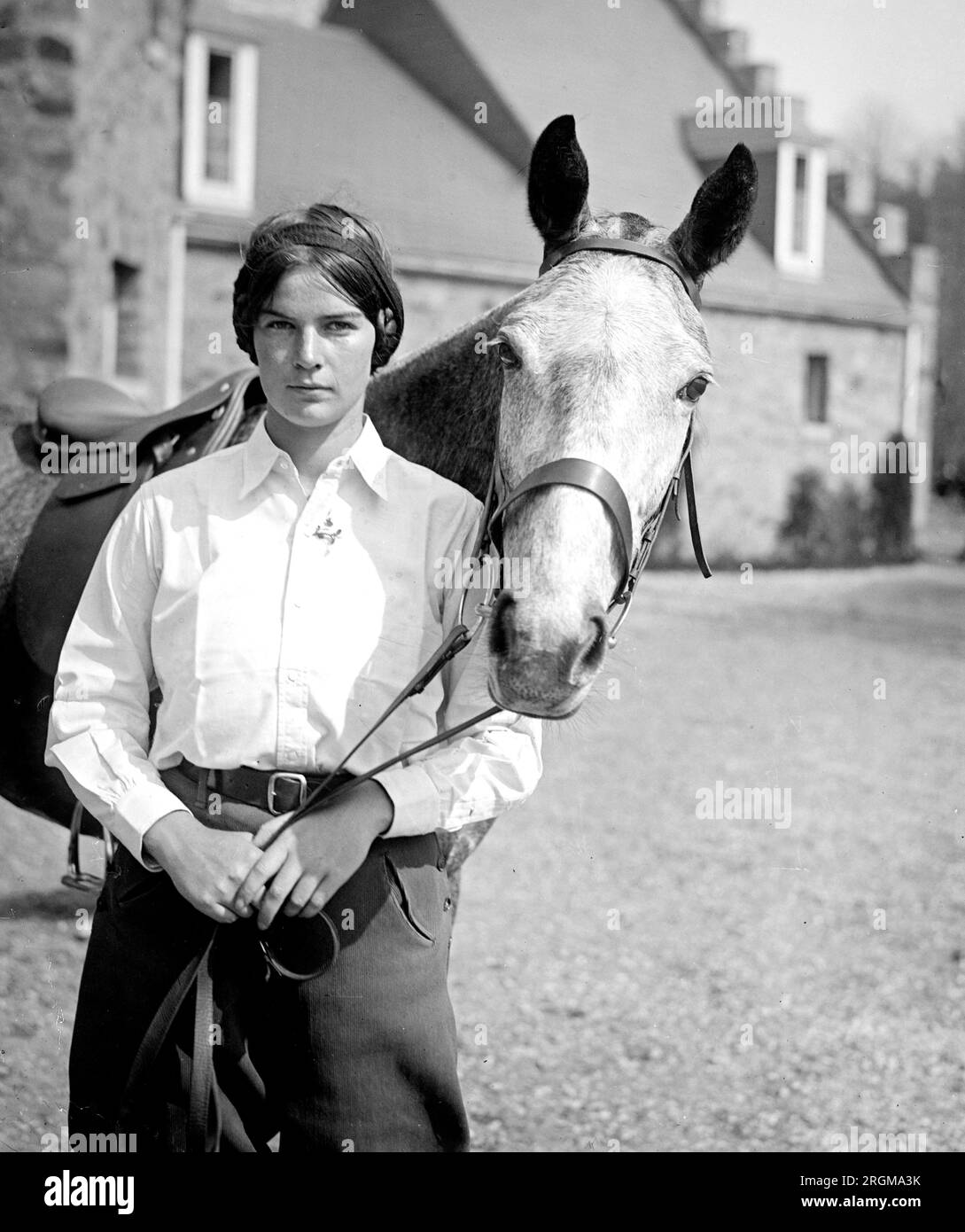 Cheval à côté Banque d'images noir et blanc - Alamy