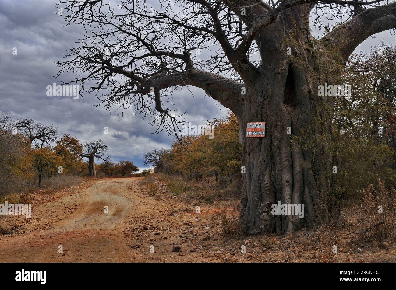 La région de Tshipise, dans le nord-est du Limpopo, abrite l'une des ...