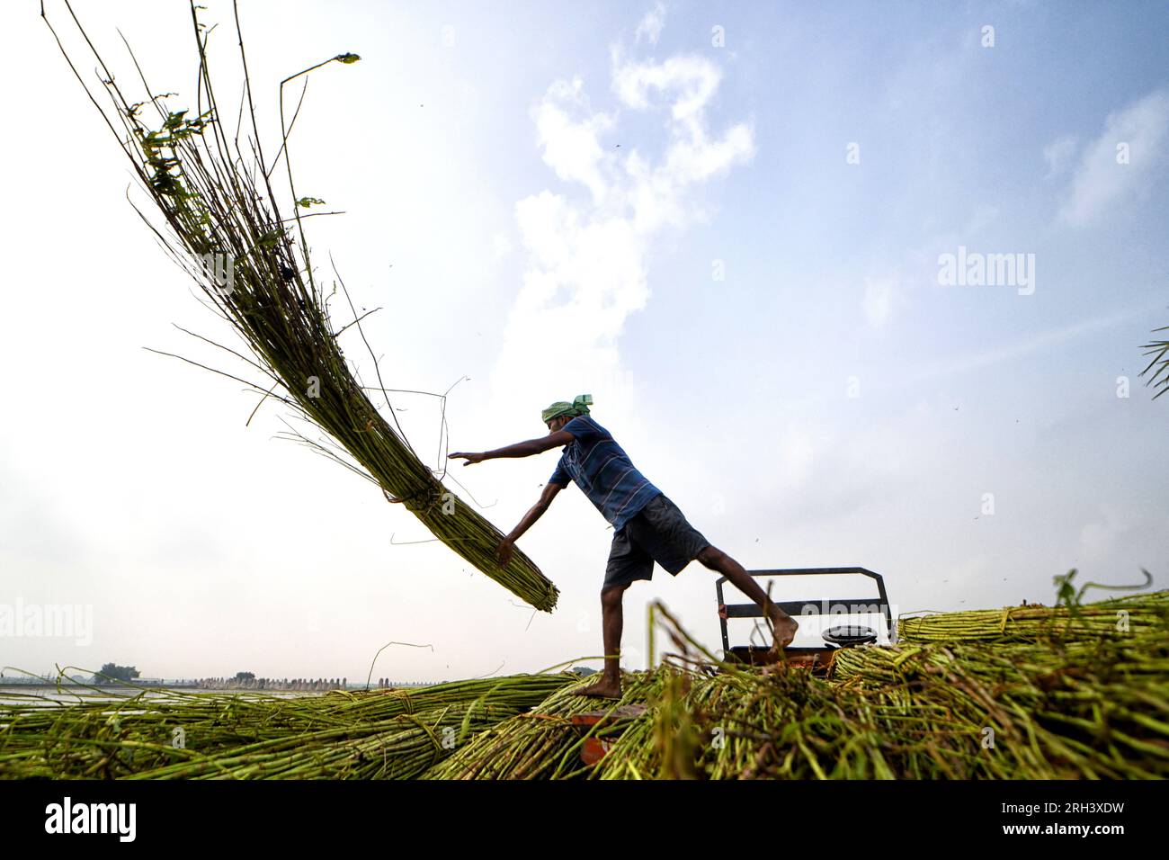 Facture de bortir Banque de photographies et d’images à haute ...