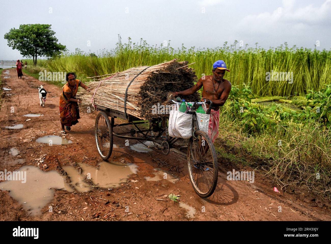 Transporting cash Banque de photographies et d’images à haute ...