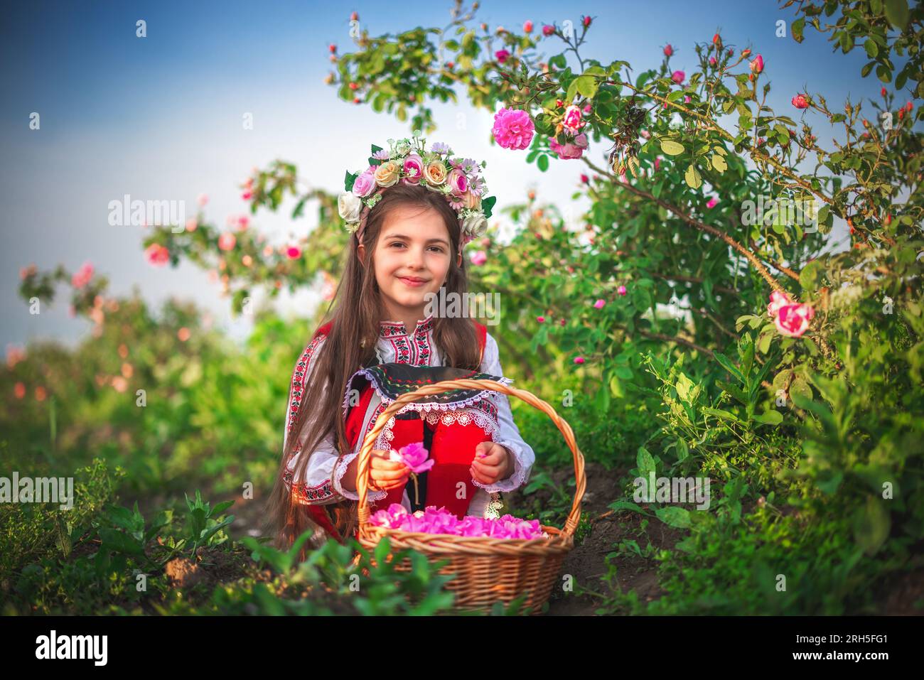 Fleur fleur rose Banque de photographies et d’images à haute résolution ...