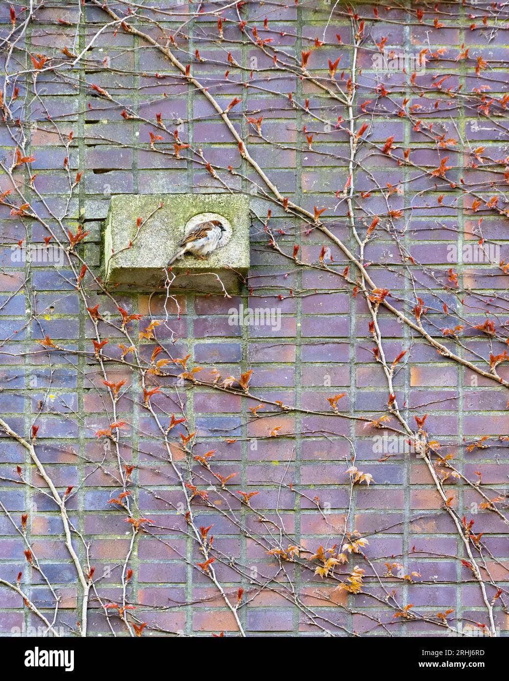 Concrete nest Banque de photographies et d’images à haute résolution ...