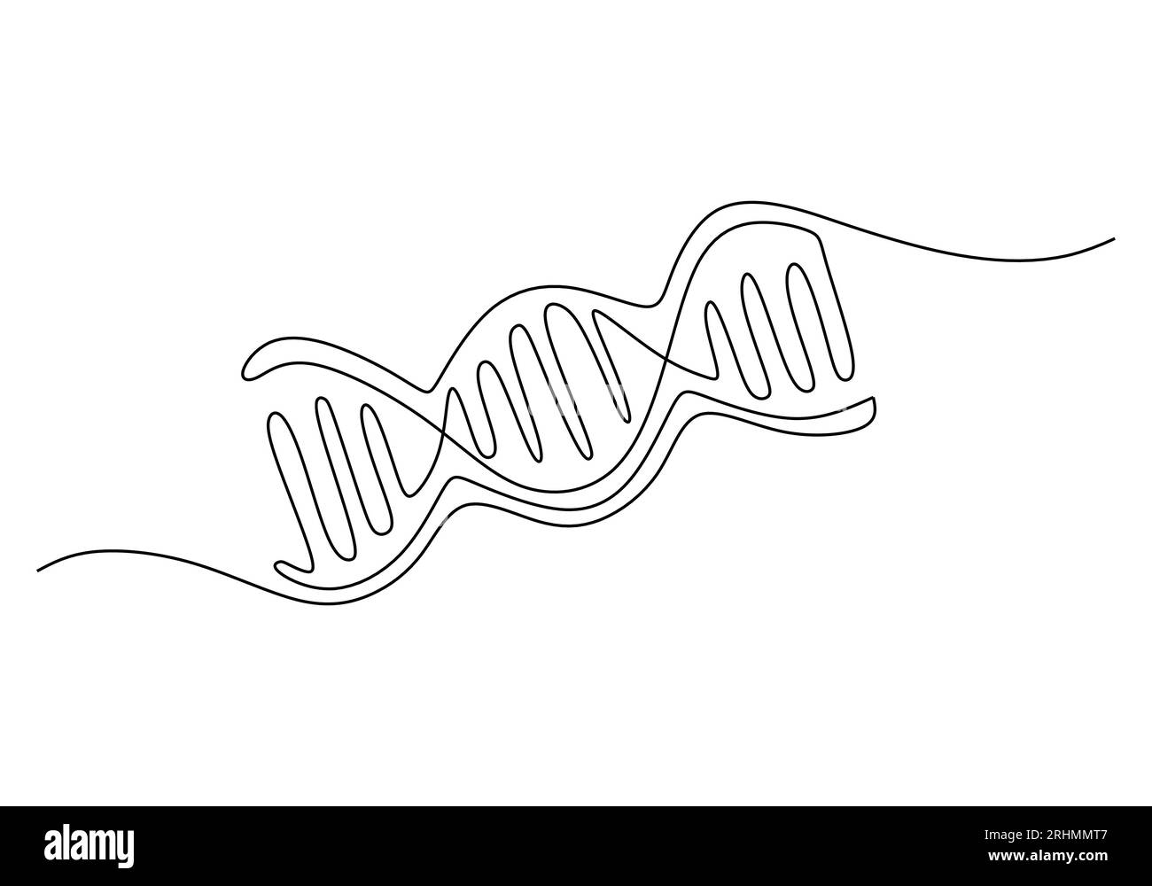 Adn dessin Banque d'images vectorielles - Alamy