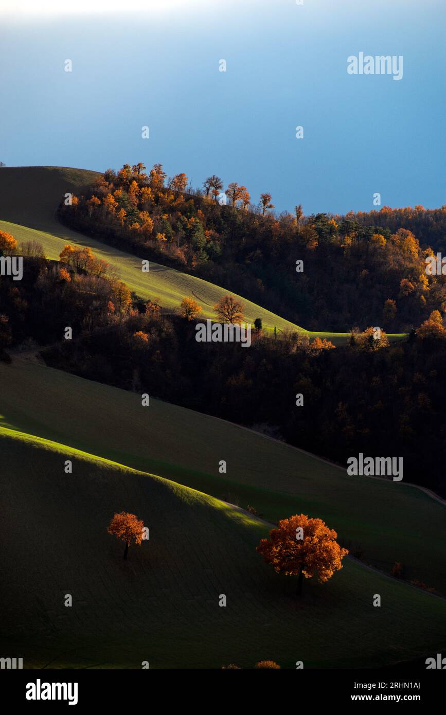 Caldi colori Banque de photographies et d’images à haute résolution - Alamy