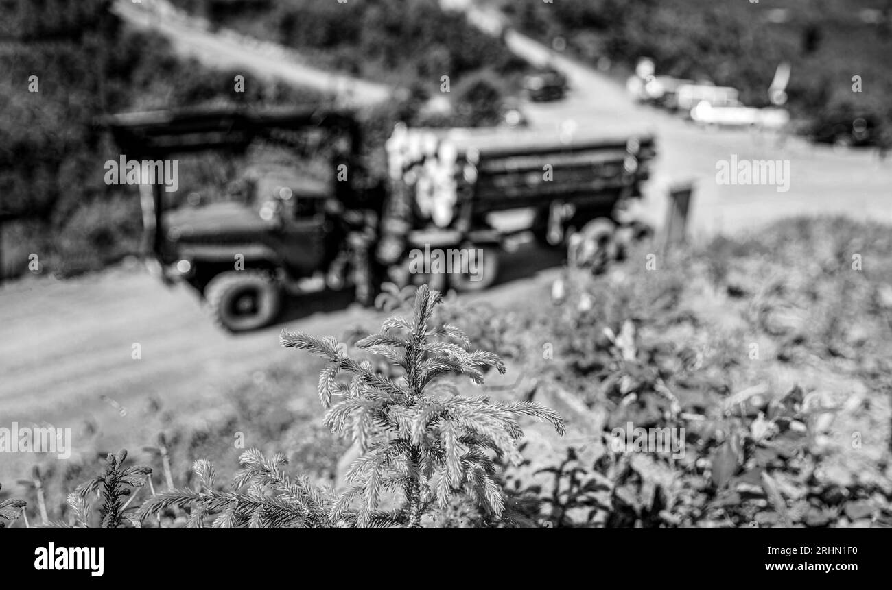 Abatteuse forestière Banque d'images noir et blanc - Alamy