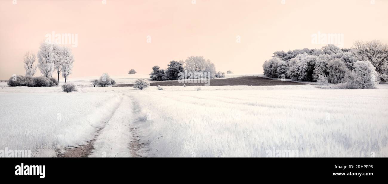 Plaine inondable dans les plaines inondables d'ohm Banque de ...