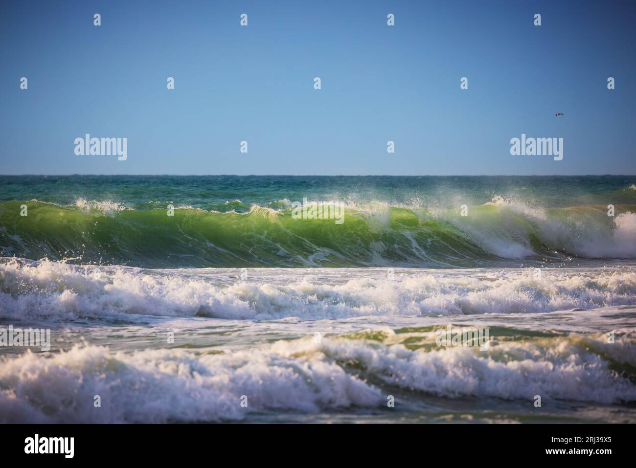 Big wave surf floride Banque de photographies et d’images à haute ...