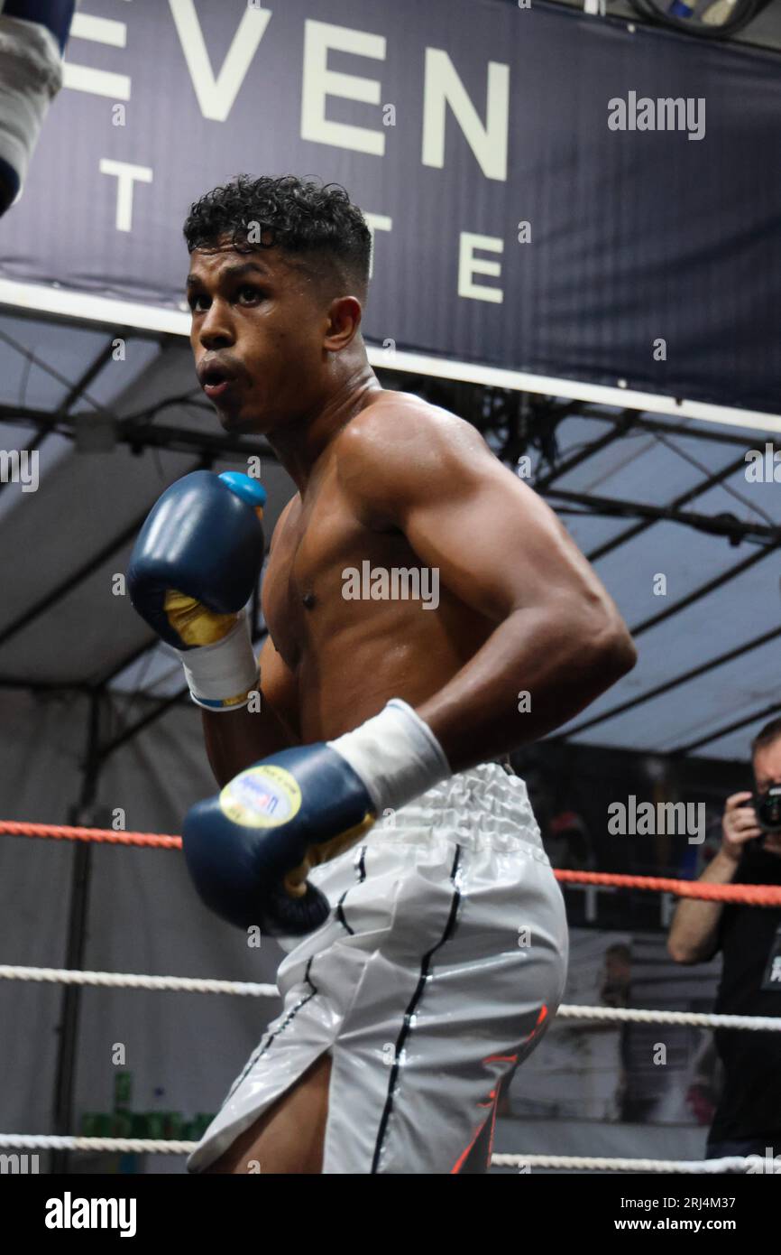 Champion de boxe poids plume Banque de photographies et d’images à ...