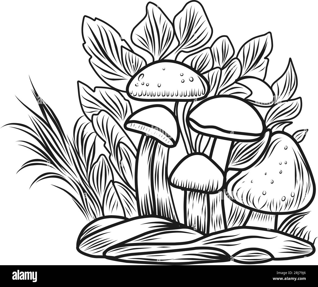 Page de coloriage champignons. Composition d'automne illustration ...