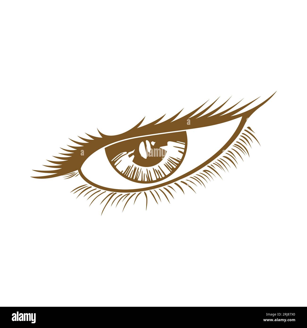 Anatomie du visage Banque d'images vectorielles - Alamy