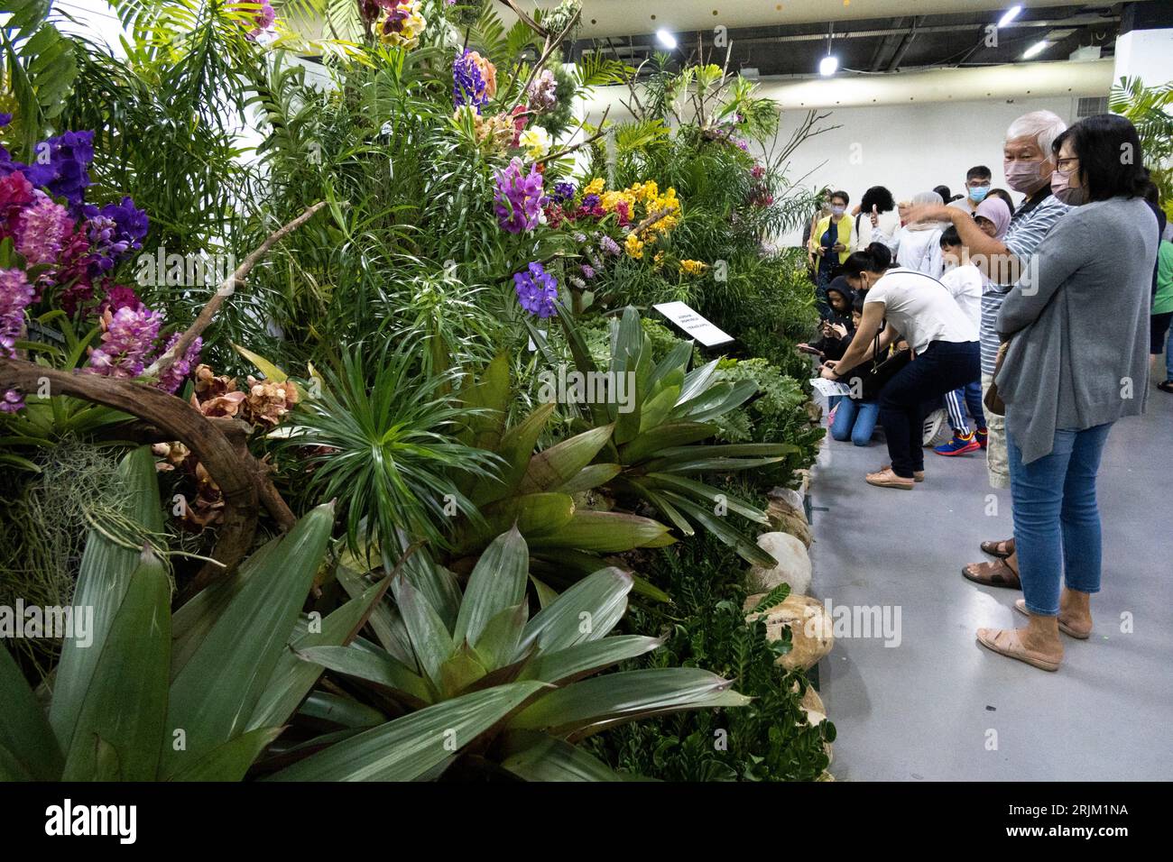 Borneo International Garden Expo Sarawak (BIGEXS 2023) au Borneo ...