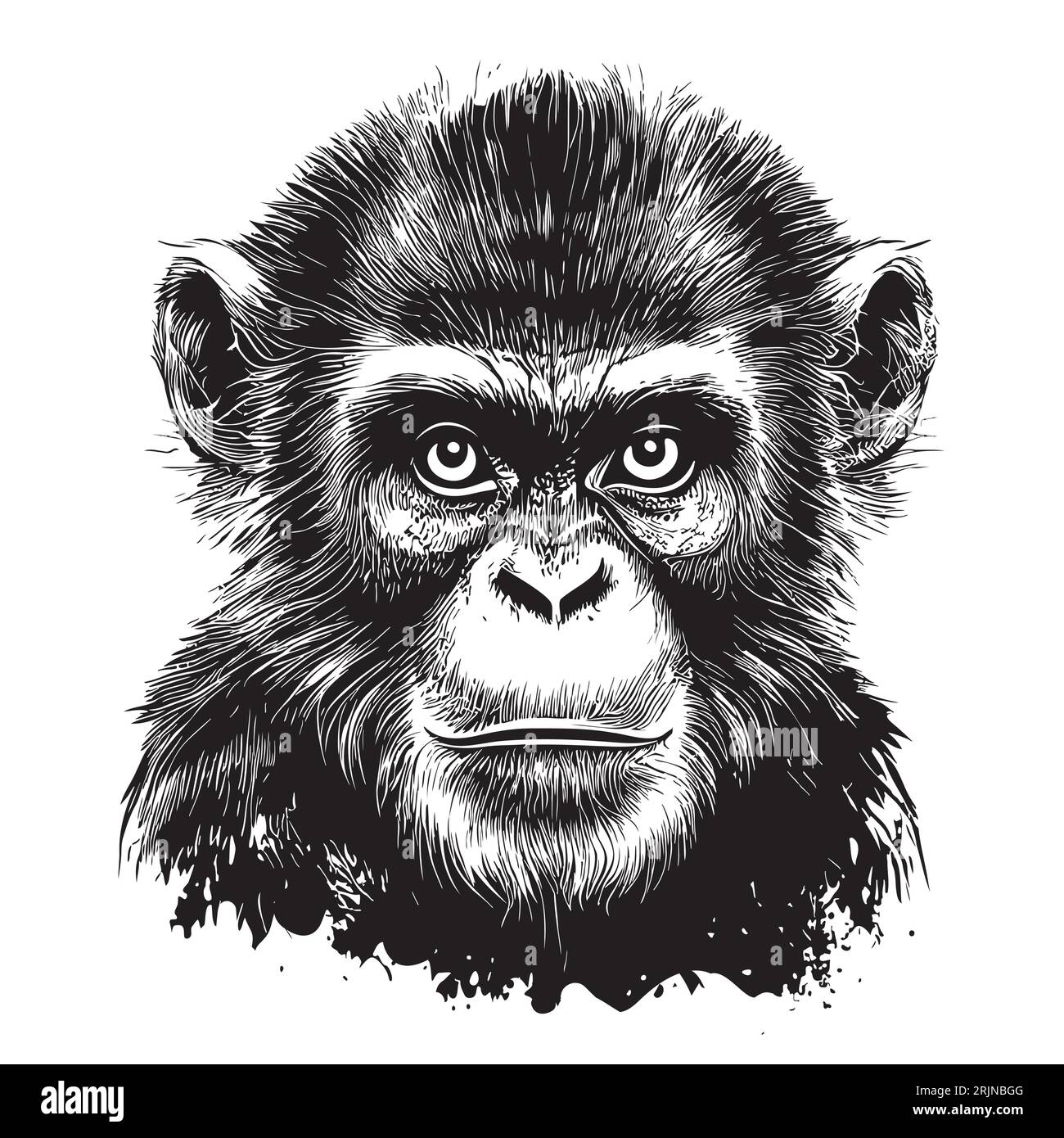 Monkey cartoon illustration Banque d'images noir et blanc - Alamy