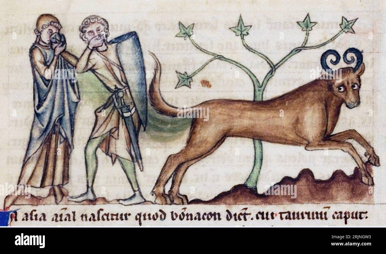 Excréments d'animaux Banque de photographies et d’images à haute ...