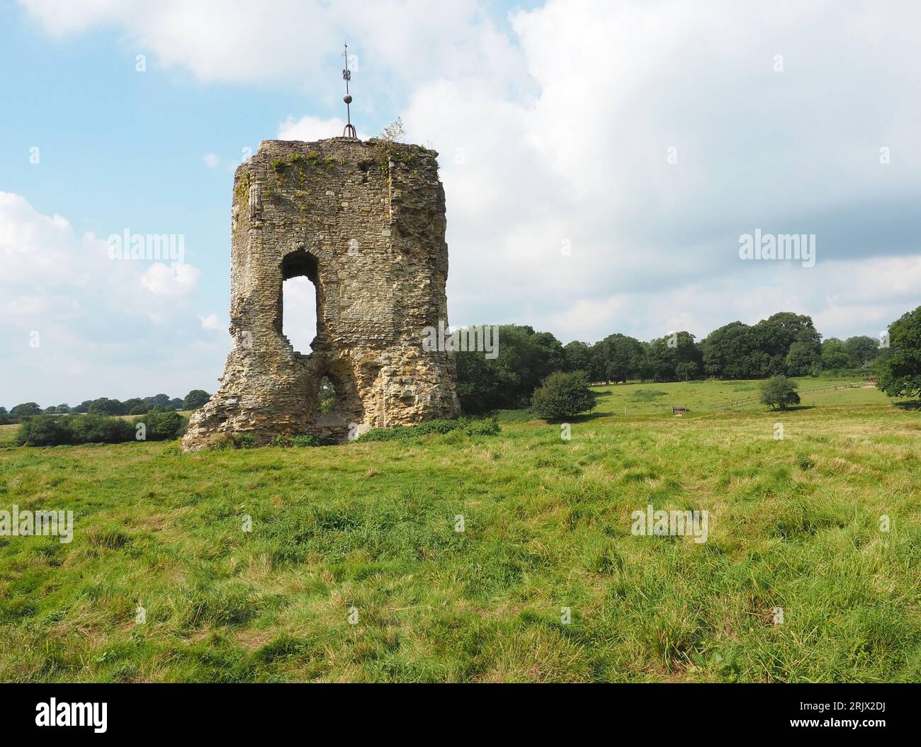Château de Knepp ou Vieux Château de Knepp sur le domaine de rewilding ...