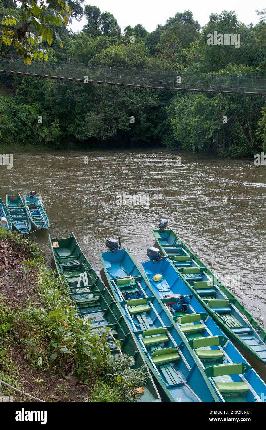 Ulu temburong national park Banque de photographies et d’images à haute ...