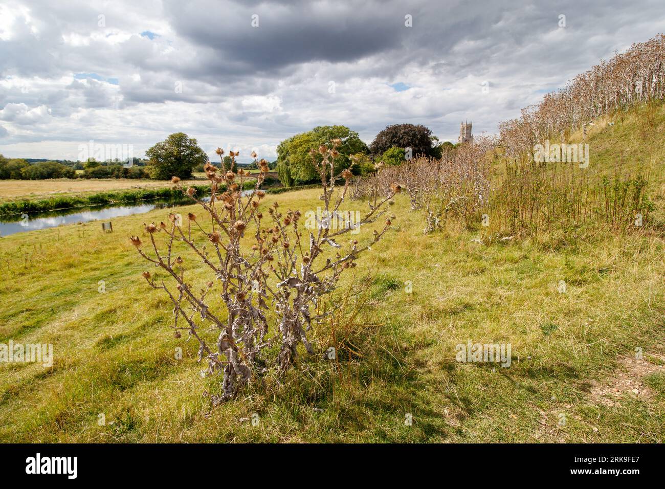 Site of fotheringhay castle Banque de photographies et d’images à haute ...