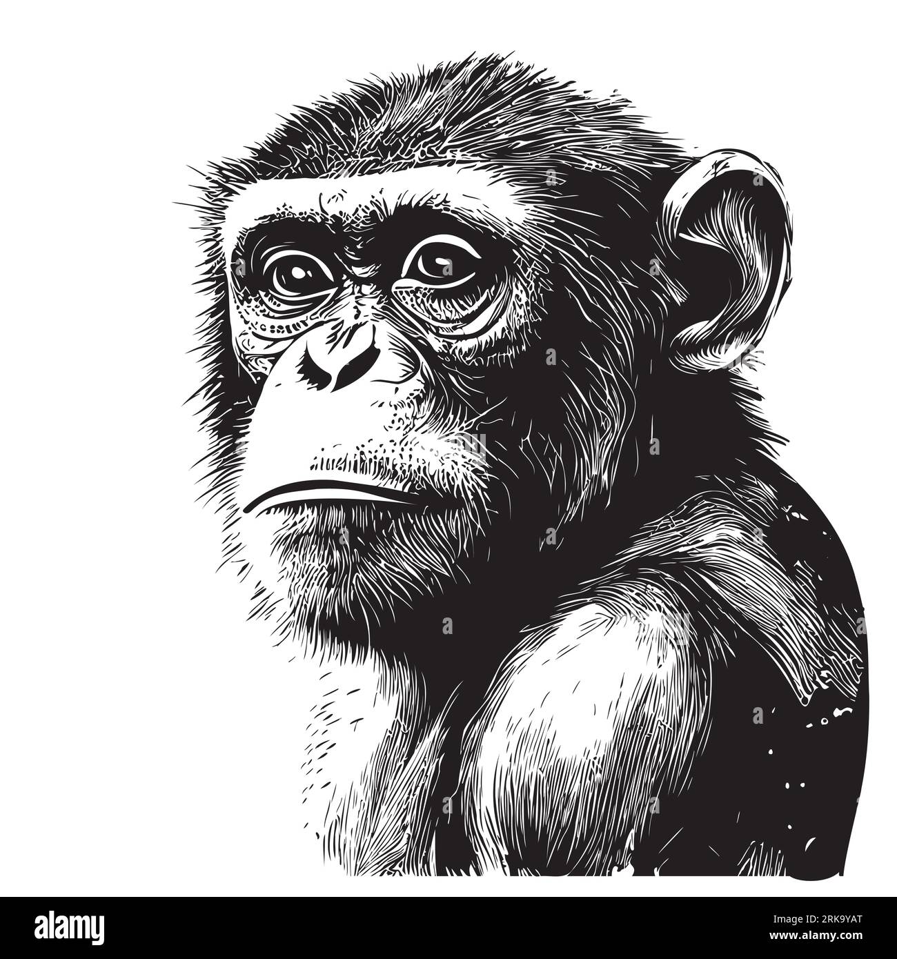 Monkey cartoon illustration Banque d'images noir et blanc - Alamy