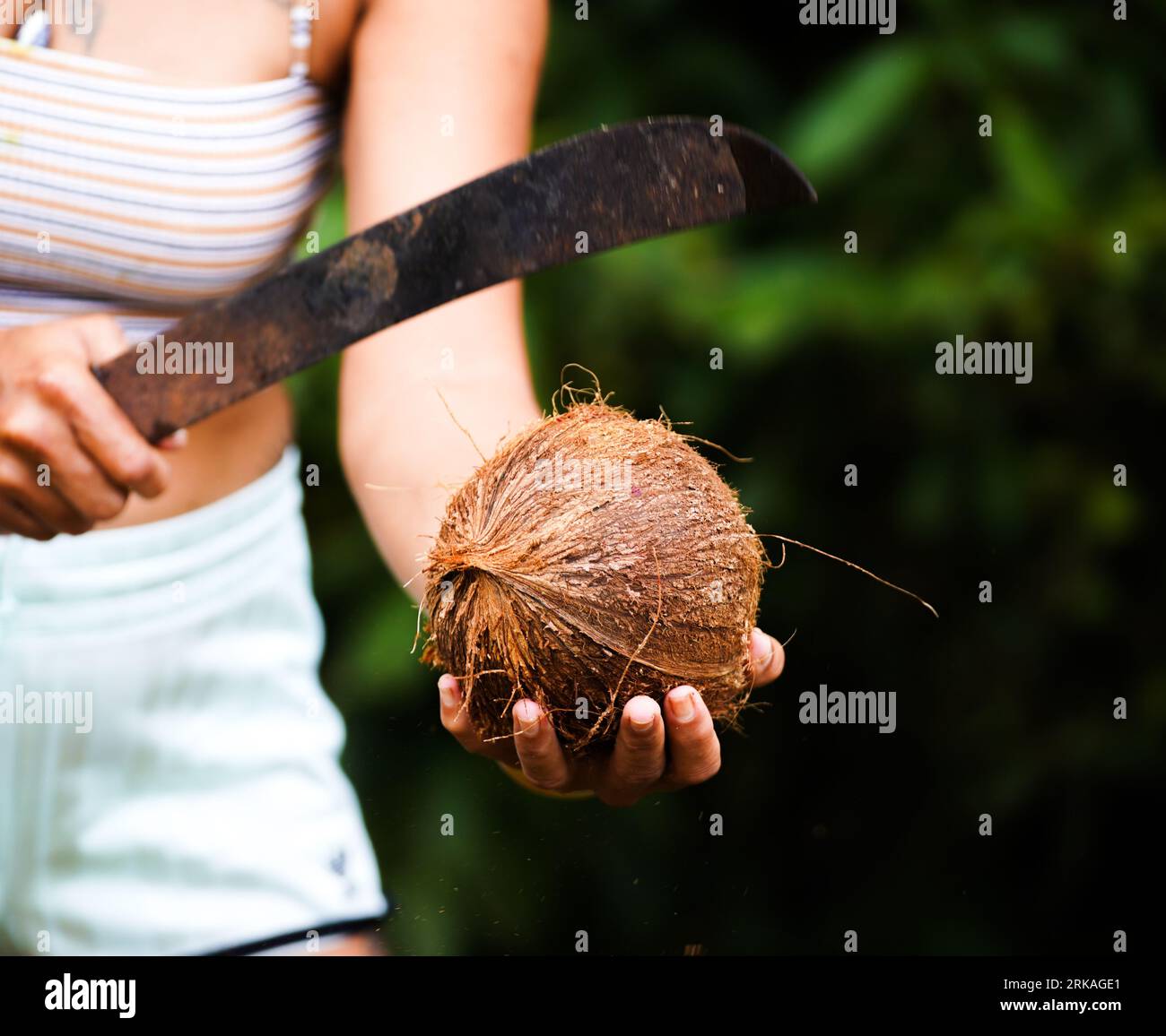 Husking coconuts Banque de photographies et d’images à haute résolution ...