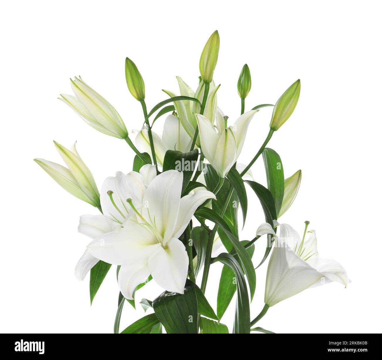 Bouquet de fleurs de lys Banque de photographies et d’images à haute résolution - Alamy