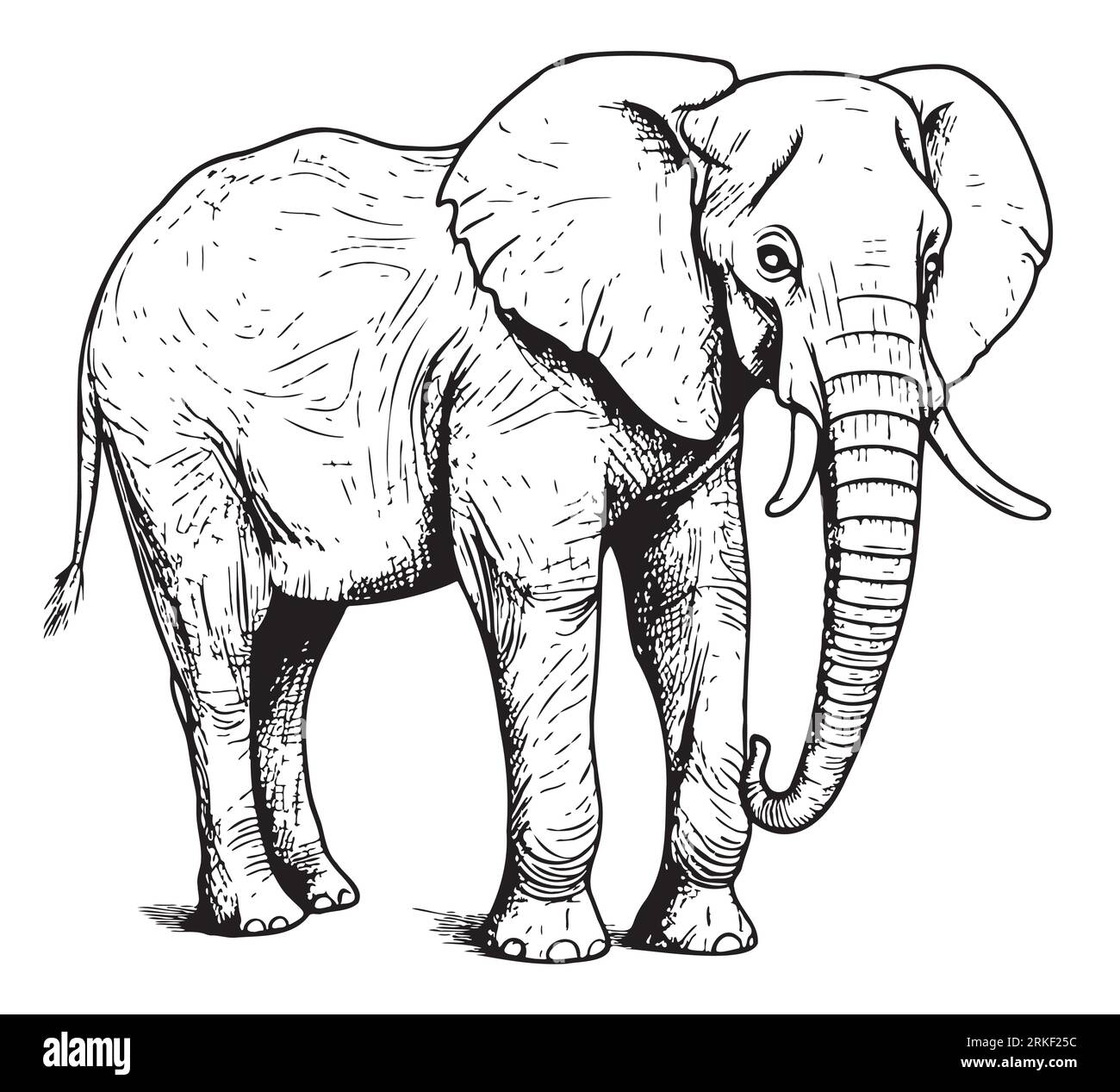 Elephants de la savane africaine Banque d'images vectorielles - Alamy