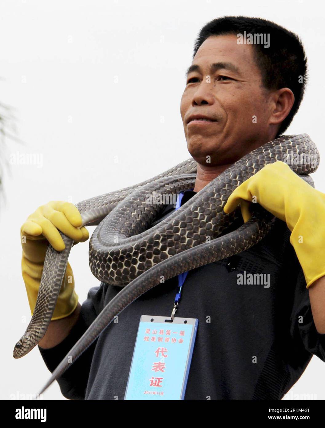 Snake feeder Banque de photographies et d’images à haute résolution - Alamy